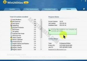 WinUtilities Professional 15.2 - Agiliza tu equipo - Artista Pirata