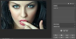 Millenium Panel - Plugin Photoshop CC - Artista Pirata