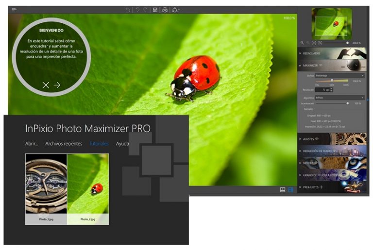 InPixio Photo Maximizer Pro 5 - Aumenta tamaño de fotos - Artista Pirata