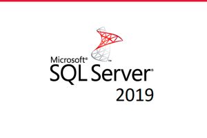 Licencia SQL Server 2019 Standard - 24 Núcleos - Certificada