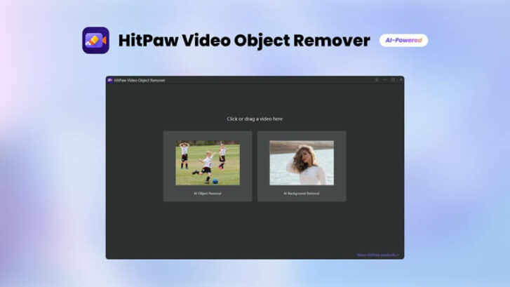 HitPaw Video Object Remover - Eliminar objetos y personas de vídeos ...