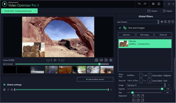 Ashampoo Video Optimizer Pro 3 - Edita todos tus videos - Artista Pirata